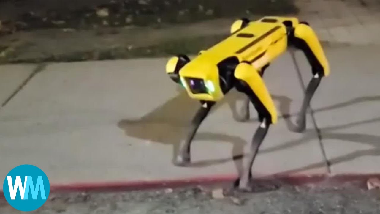 Top 5 Robot - YouTube