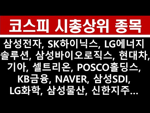 코스피 업종대표주 분석 삼성전자, SK하이닉스, LG에너지솔루션, 삼성SDI, POSCO홀딩스, LG화학, KB금융, 신한지주 은행주, 셀트리온, 삼바, NAVER, 카카오 ...