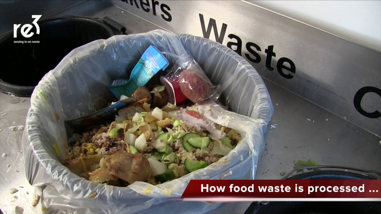 re3's 'Mythbusters' series tackles recycling questions and concerns ...