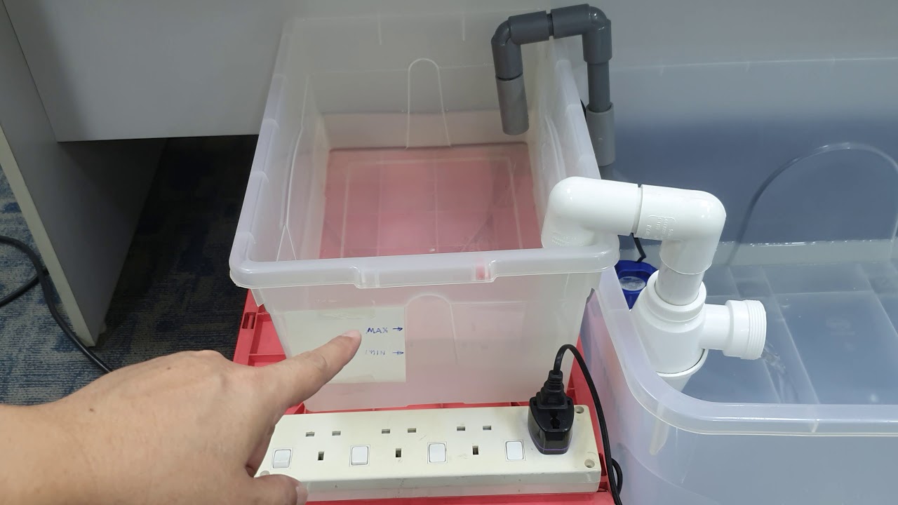 DIY No Drilling Overflow system For Aquarium Tank with adjustable water ...