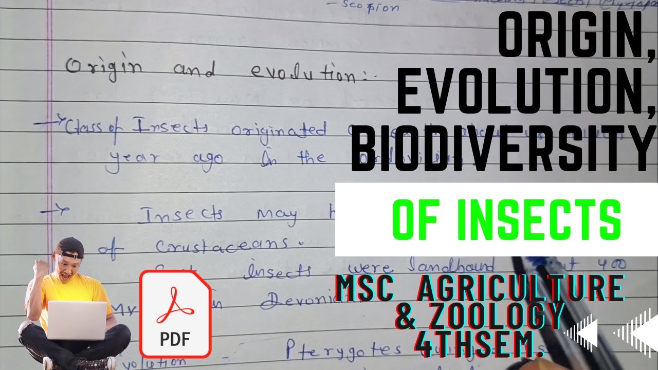 Insect origin and evolution, biodiversity | Principles of applied ...