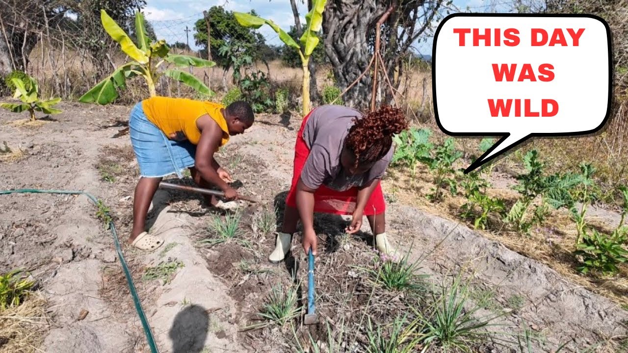 WE DID EVERYTHING IN ONE DAY||NONSTOP HOMESTEADING DAY - YouTube