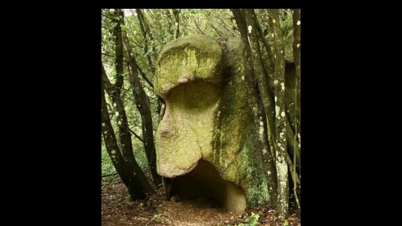 Mudfossil Giants Are Everywhere Youtube