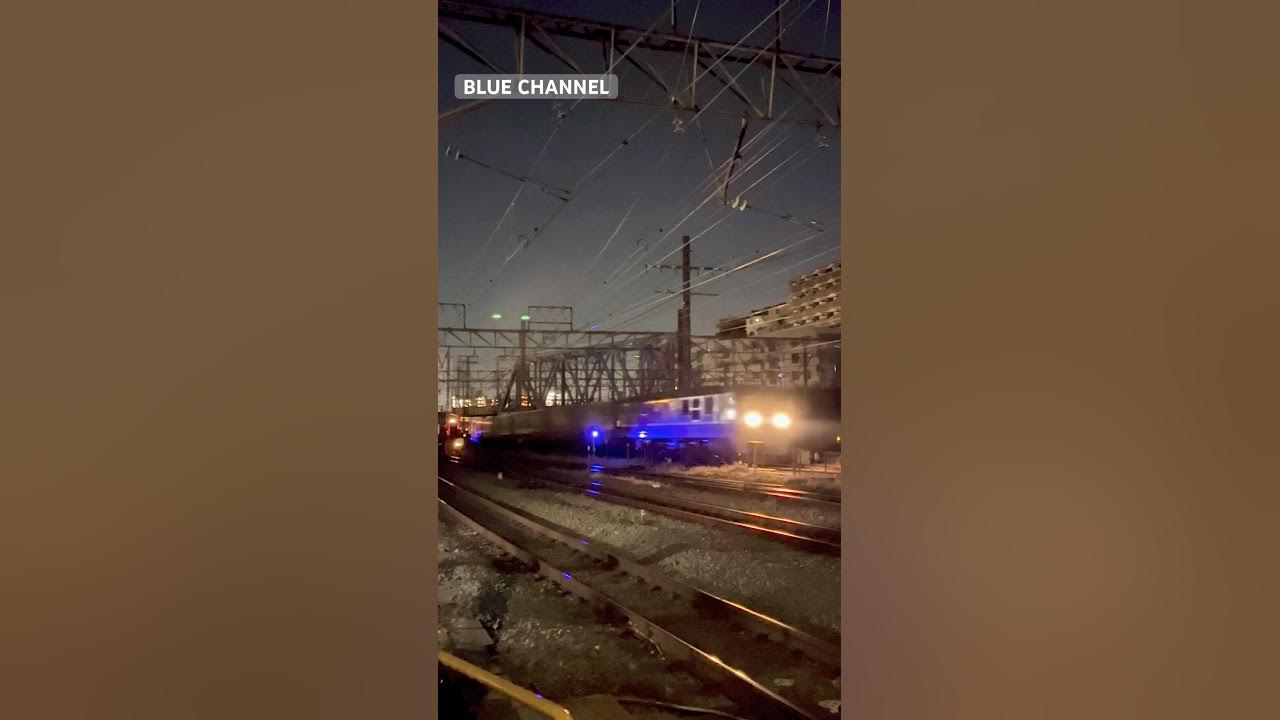 (貨物列車) 2024/12/18 2050レ EF210-118 + コキ20B トヨタロングパスエクスプレス (笠寺〜盛岡タ) #Shorts - YouTube