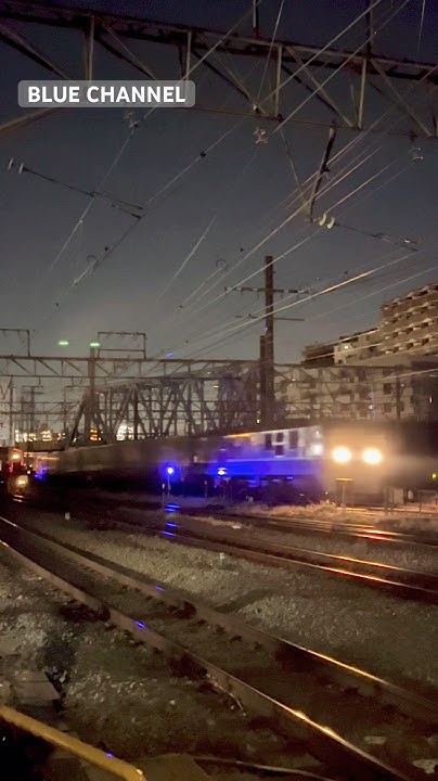 (貨物列車) 2024/12/18 2050レ EF210-118 + コキ20B トヨタロングパスエクスプレス (笠寺〜盛岡タ) #Shorts - YouTube