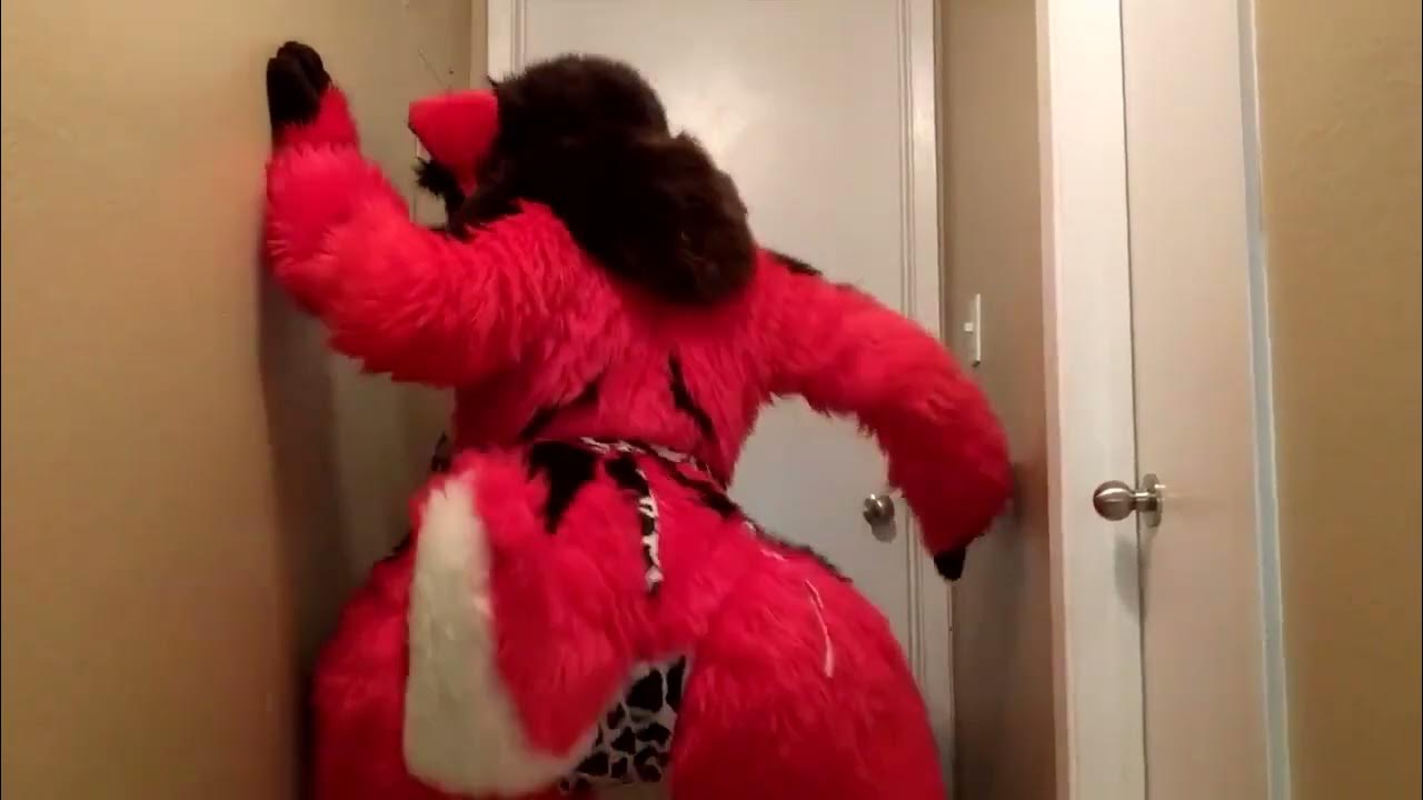 Some Furry Porn Video (Fursuit Butts) - YouTube