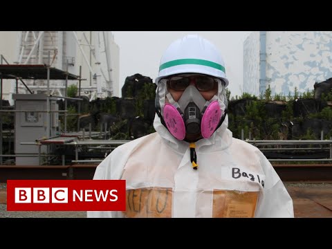 Fukushima: The nuclear disaster that shook the world - BBC News