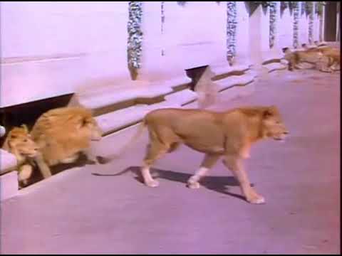 2  Quo Vadis 1951