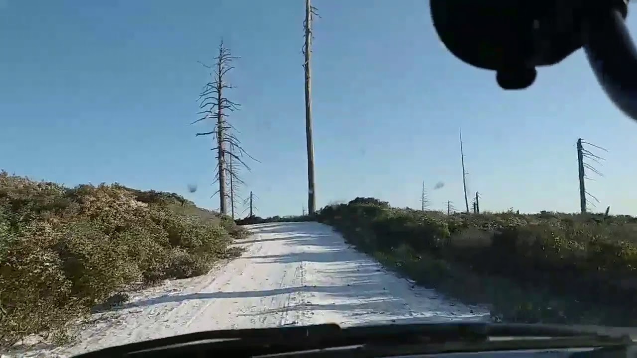 Davis lake fire burned 2003 2019 still not logged or replanted - YouTube