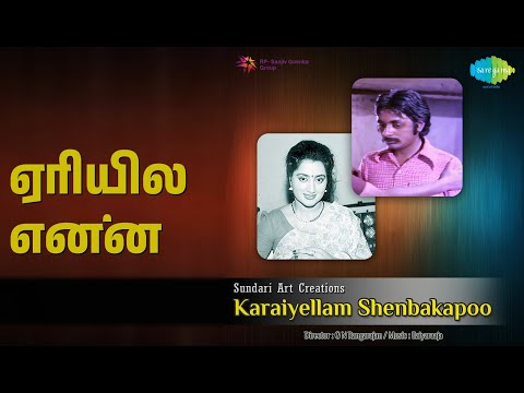 ஏரியில் என்ன | Karaiyellam Shenbakapoo | Chorus | S. Janaki Songs | Sripriya | Prathap Pothan