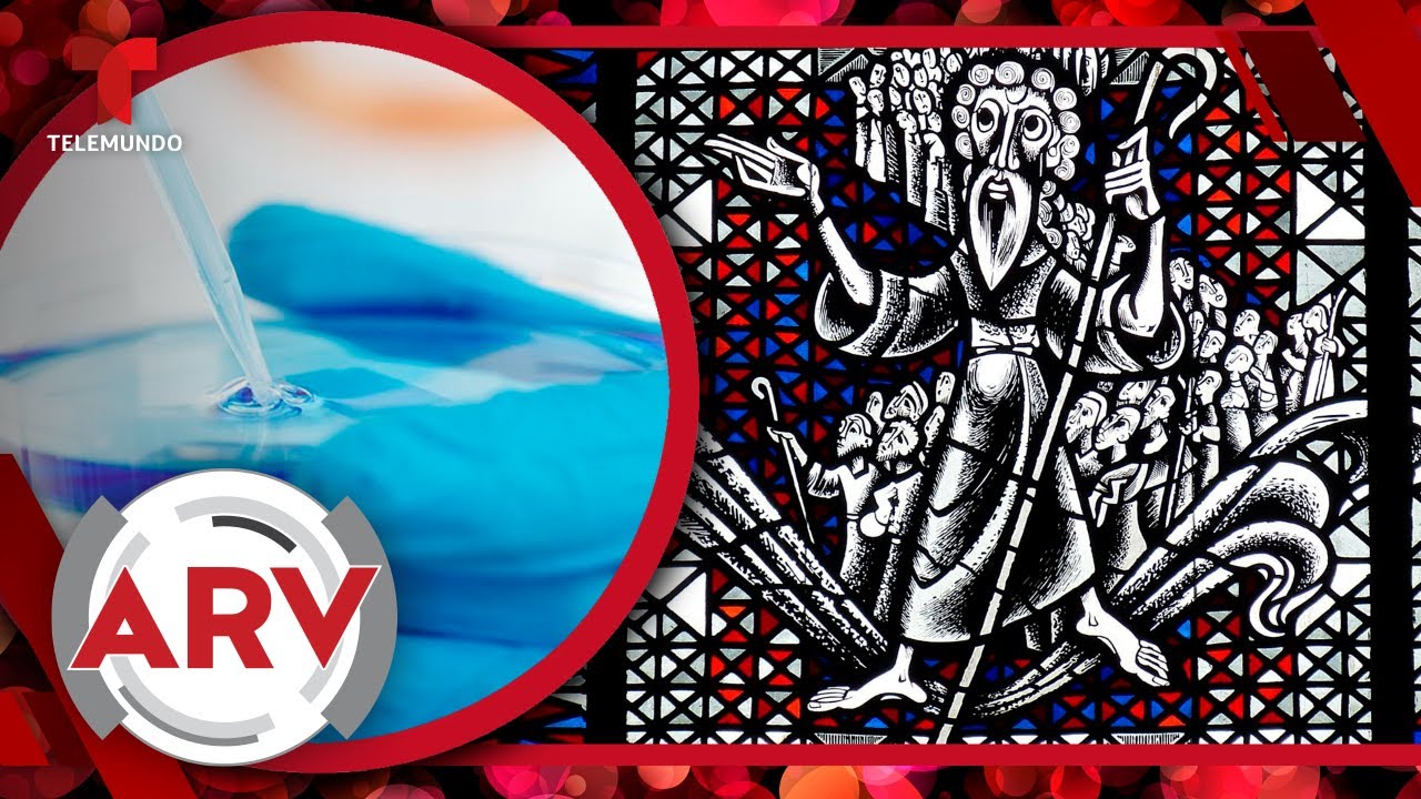 Las 10 plagas de Moisés pudieron ser reales y tienen explicación ...