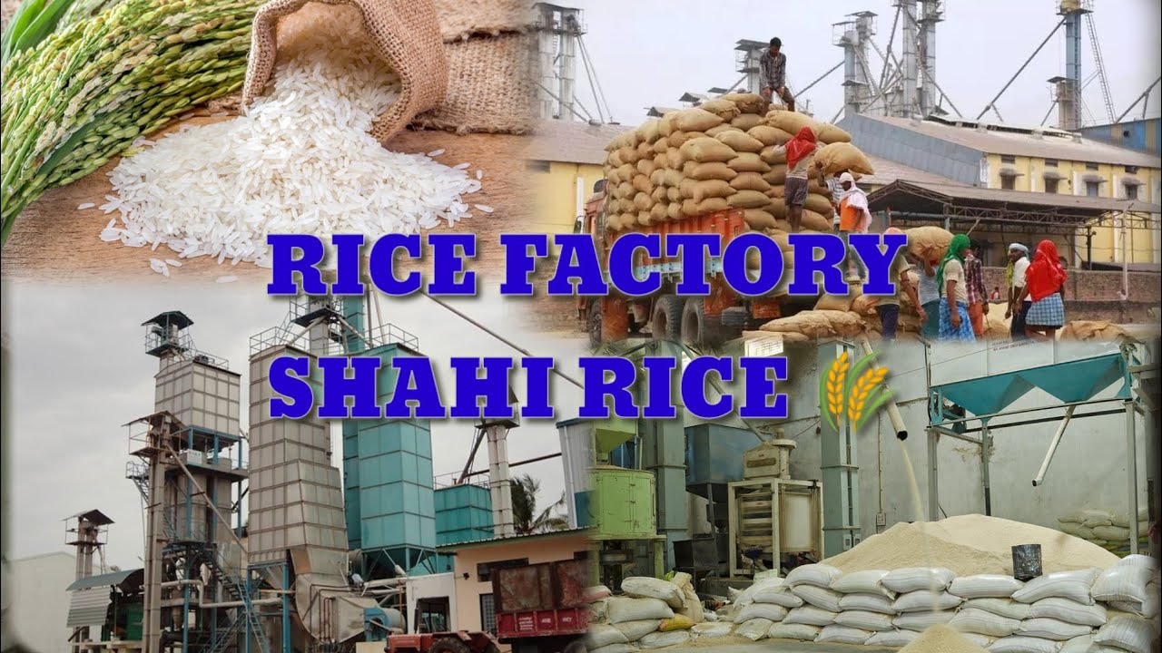 rice factory | new rice mill factory || Rourkela bisra bhalu Lata rice ...