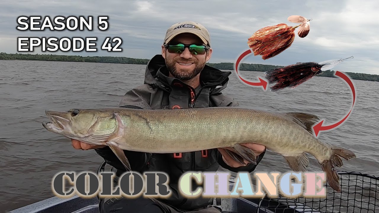 Simple COLOR CHANGES that TRIGGER Muskie STRIKES! S5.E42 - YouTube