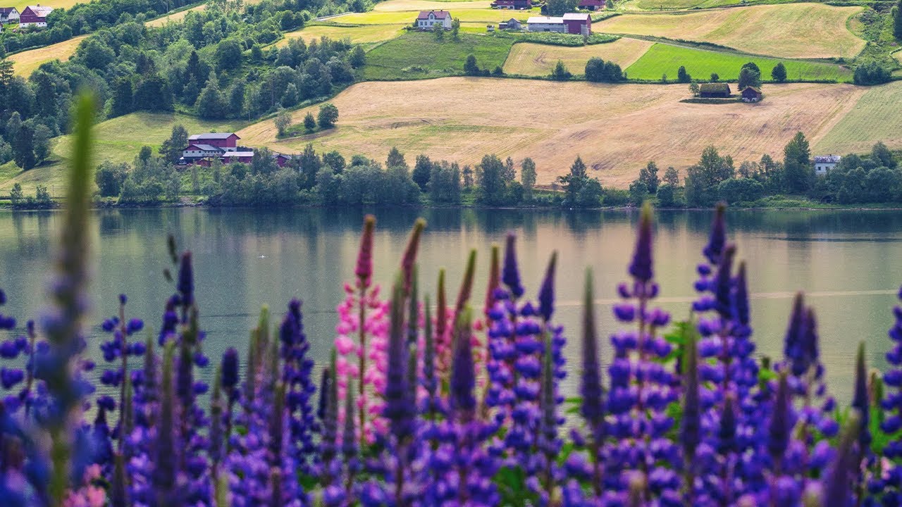 AMAZING NATURE SCENERY, UPLIFTING BEAUTIFUL PIANO MUSIC, WATER NATURE ...