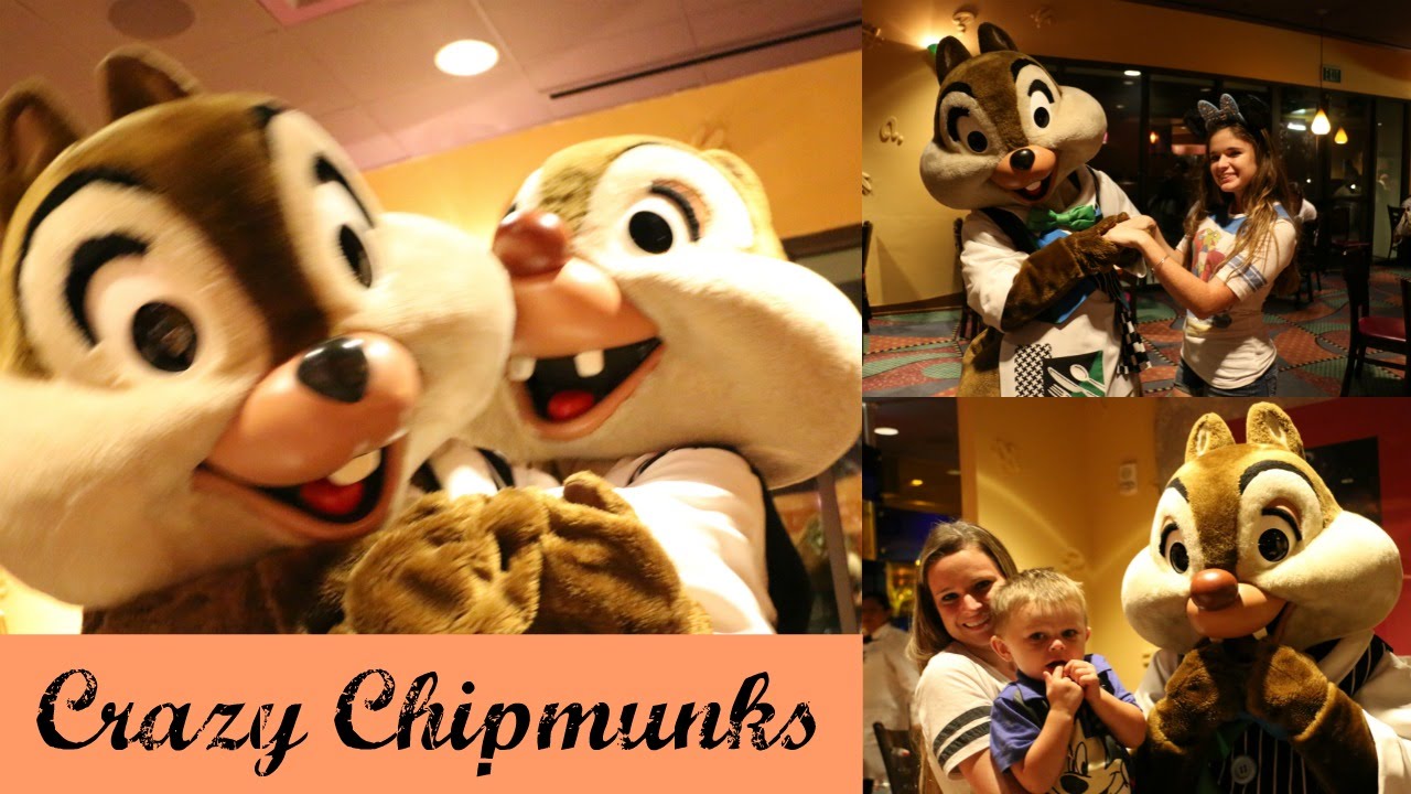 CRAZY CHIPMUNKS AT GOOFYS KITCHEN- DISNEYLAND VLOG - YouTube