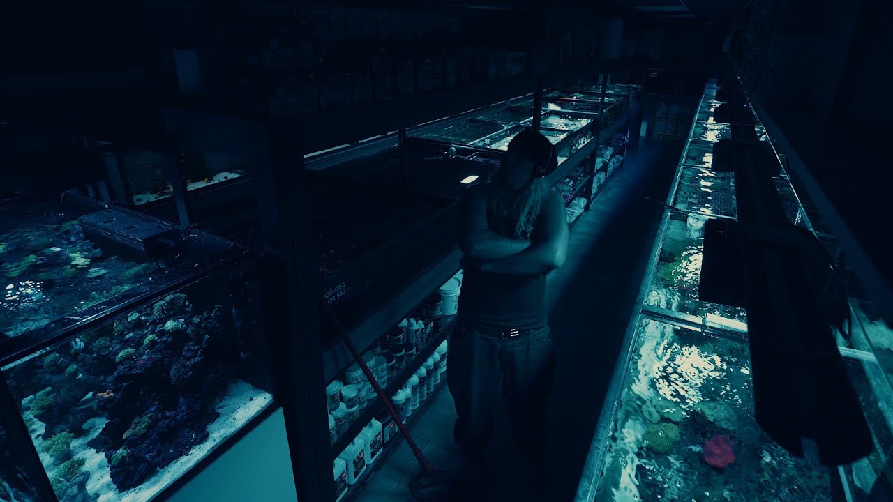 Lu - FISH BOWL (Official Video) - YouTube