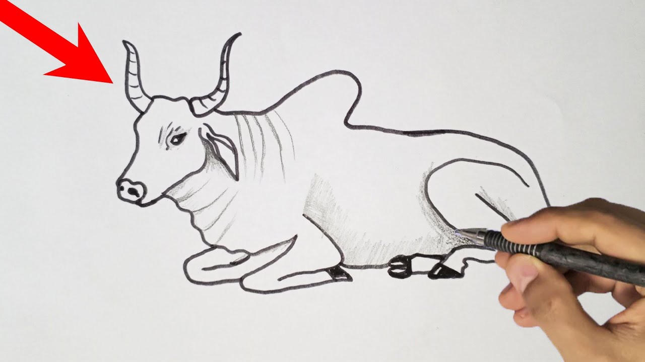 how to draw sleeping a cow very easy step by step - YouTube
