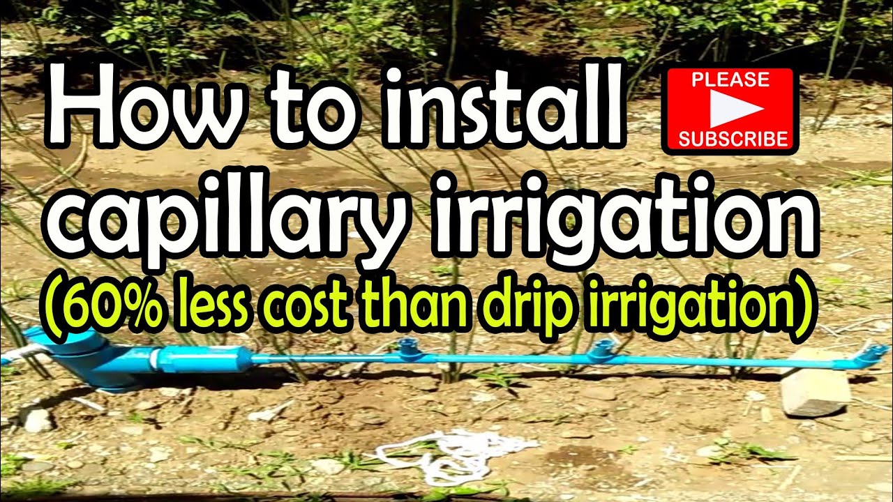 Wick Irrigation - YouTube