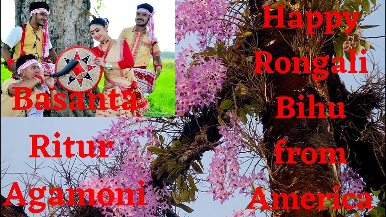 Beautiful Spring blossoms in America and Happy Rongali Bihu 2023 is ...