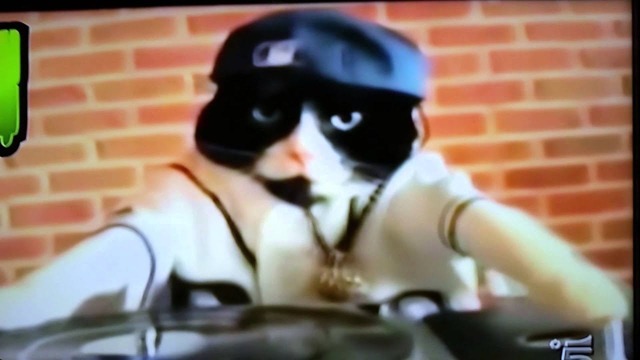 Cat DJ Meme - YouTube