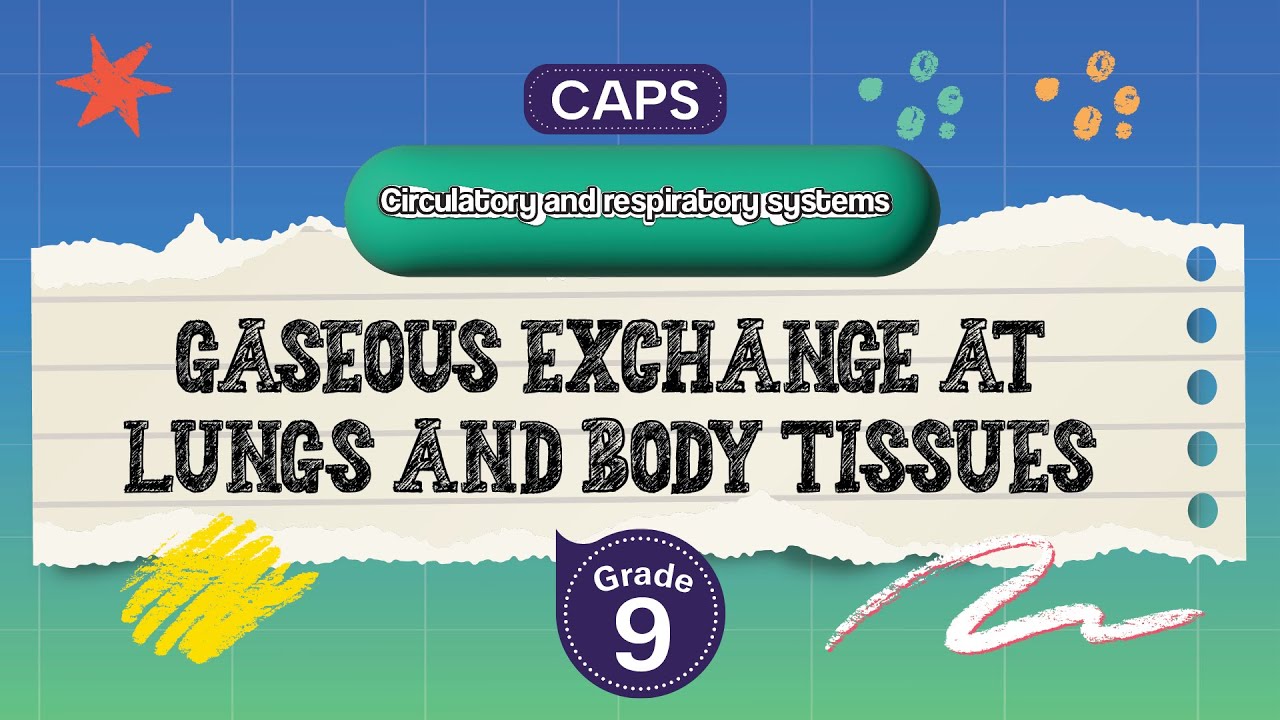 [GRADE 9] Gaseous exchange at lungs and body tissues - YouTube