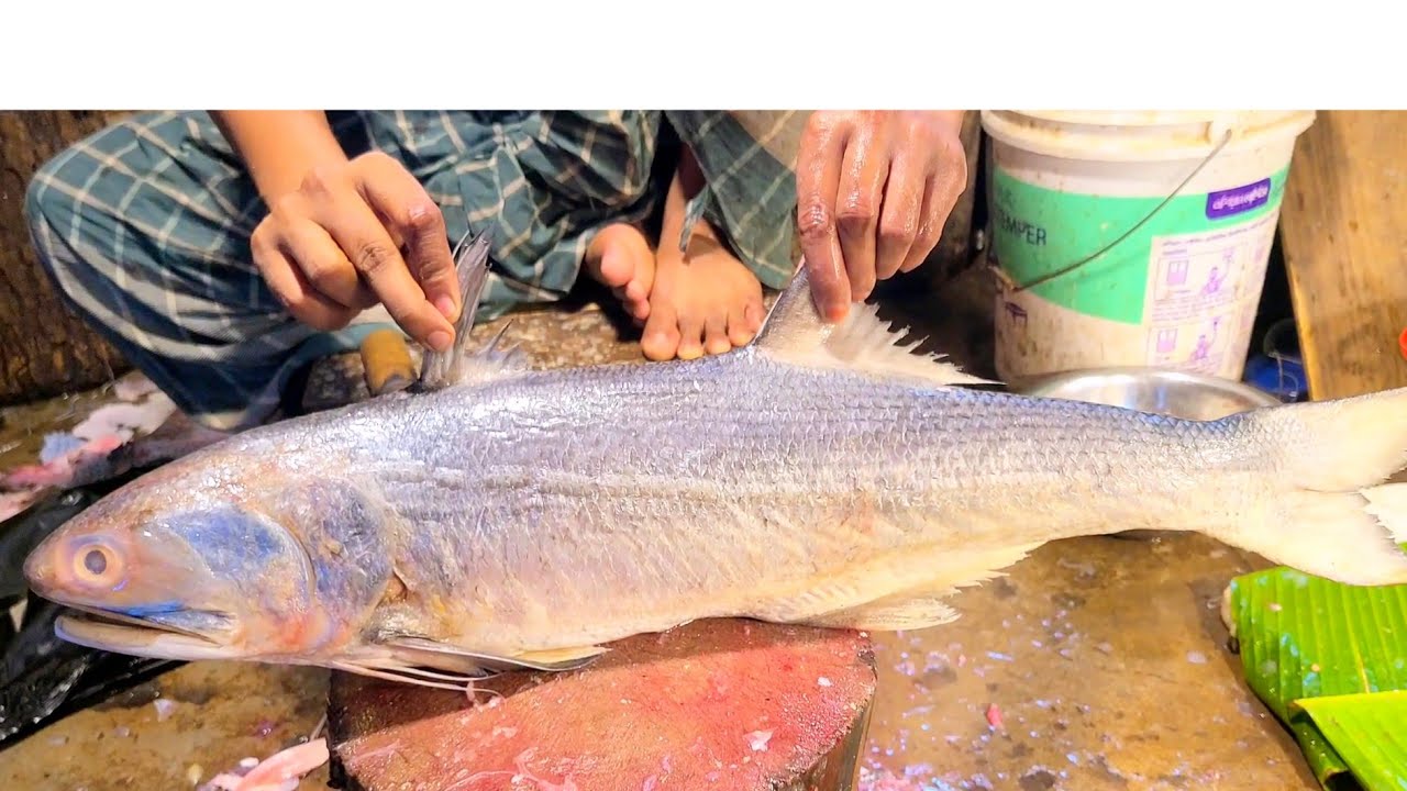 Amazing Huge Delicious Salmon Rawas Fish Cutting & Chopping In ...