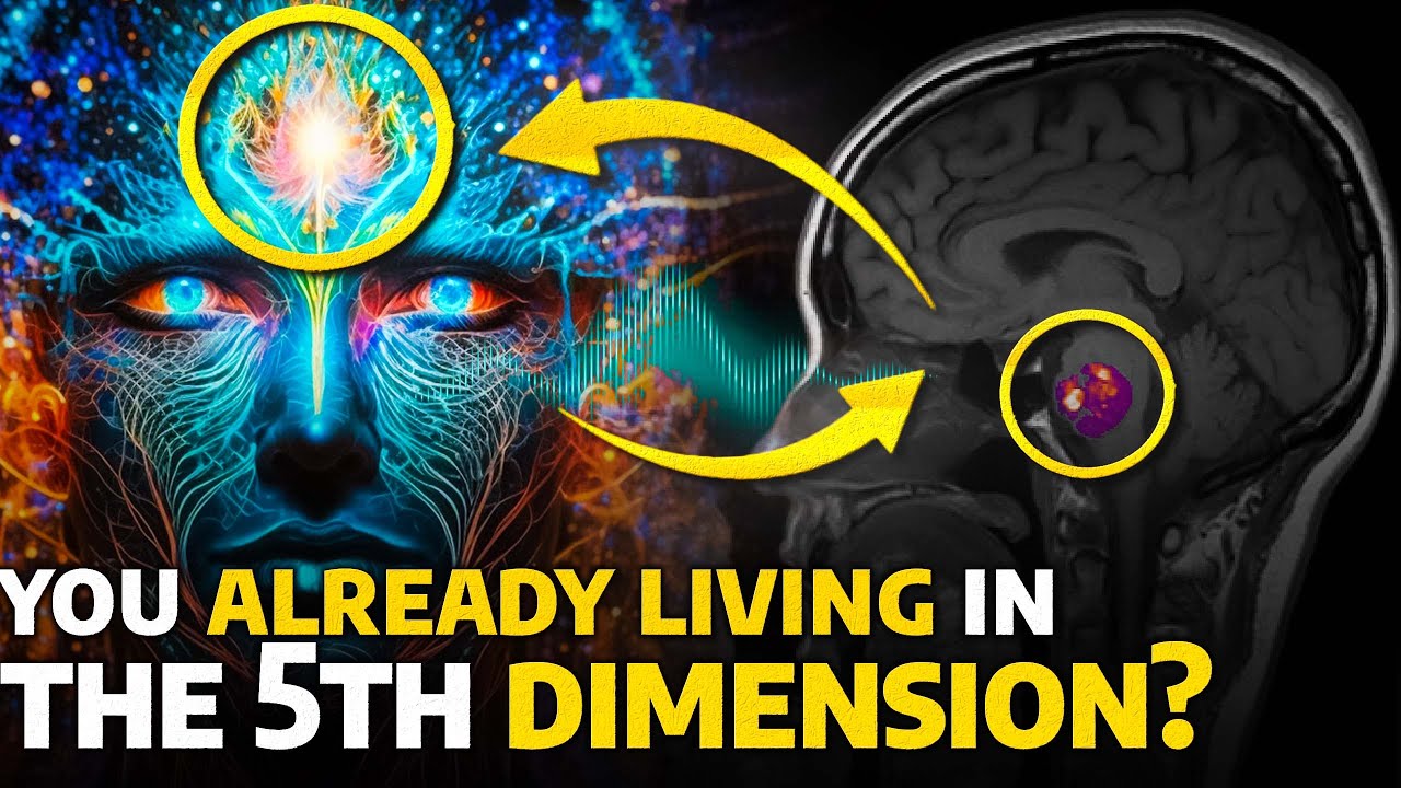 Are you already living in the 5th DIMENSION? AN AMAZING REALITY ...