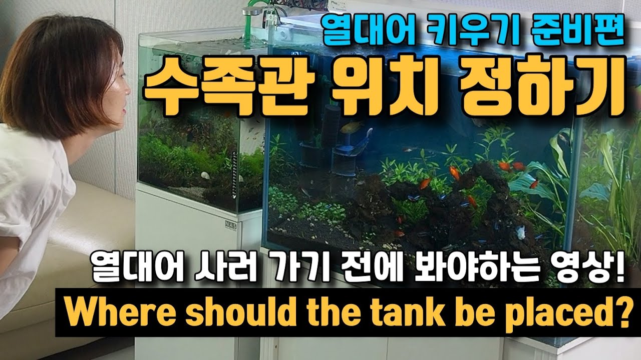 Where Should The Fish Tank Be Placed How To Calculate The Volume And where-should-the-fish-tank-be-placed-how-to-calculate-the-volume-and