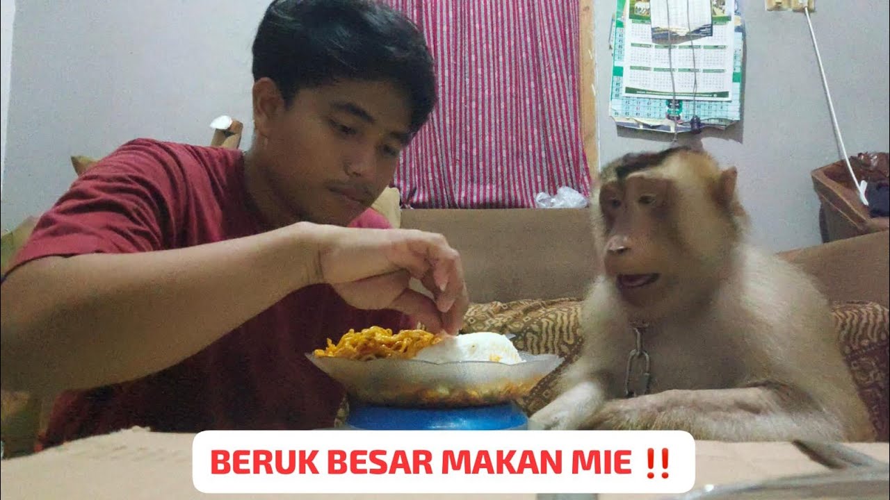 MASAK BARENG & MAKAN BARENG BERUK BESAR - YouTube