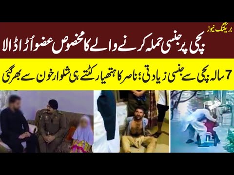 Girl Real Story | Maria Ali - YouTube
