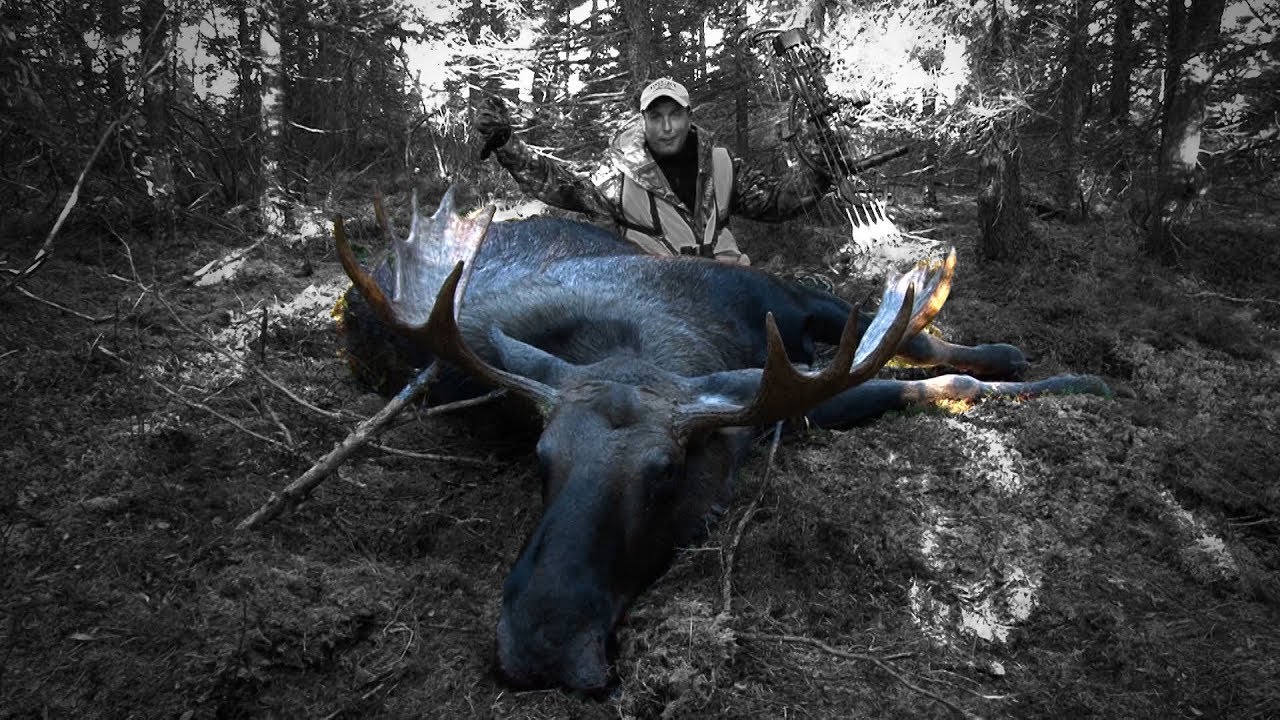 Manitoba Monster Moose Hunt - YouTube