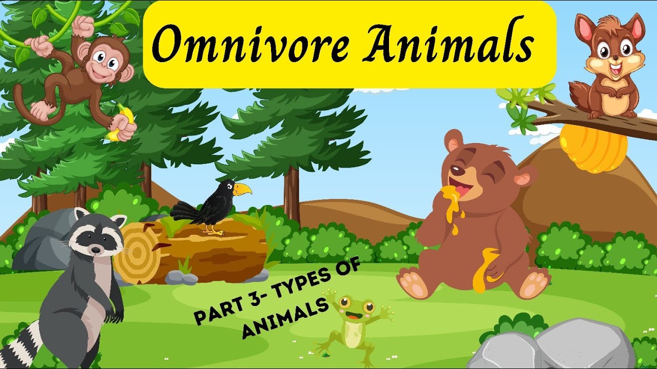 PART 3- Types of Animals 🦧 || OMNIVORES 🦝🐖 🐿️|| OMNIVOROUS ANIMALS FOR ...