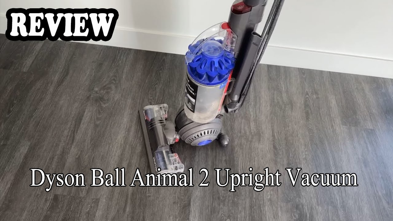Dyson Ball Animal 2 Upright Vacuum Review - Pros, Cons and My Secret ...
