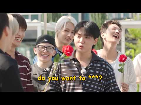 seventeen were born to ✨ roast ✨ each other
