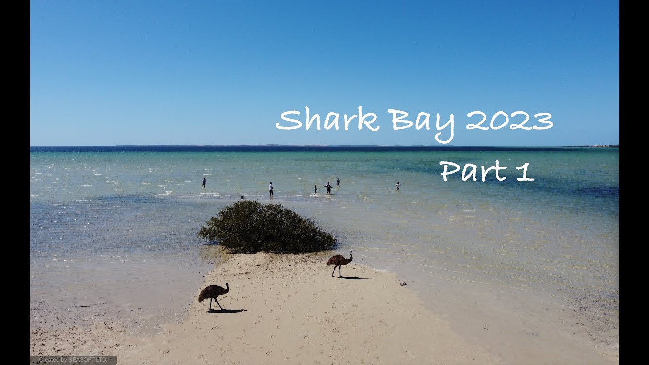 Shark Bay Part 1 - Bottle Bay Dubaut Creek Francois Peron Emus Fishing ...