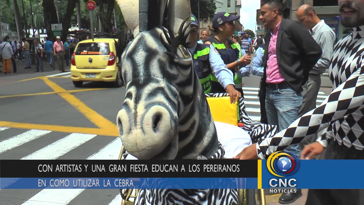 CAMPAÑA DE TRANSITO PARA UTILIZAR LA CEBRA CORRECTAMENTE - YouTube