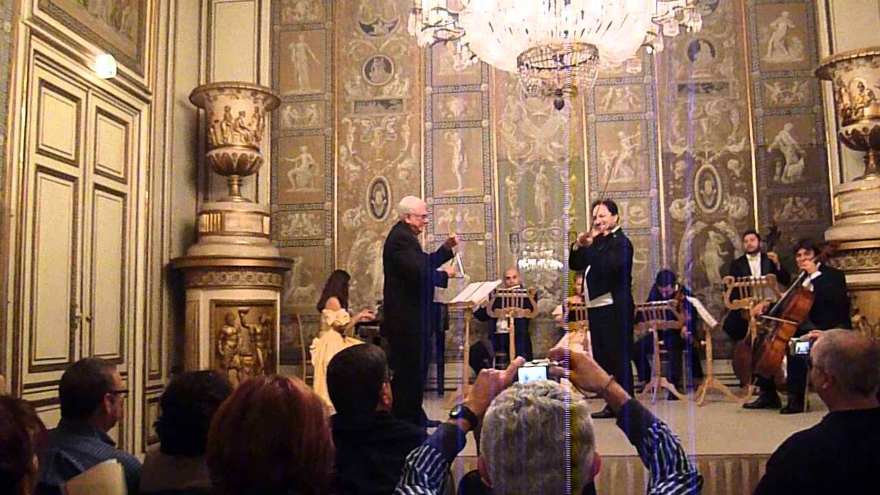 A Viennese Classical performance with Armando Jose Namis - YouTube