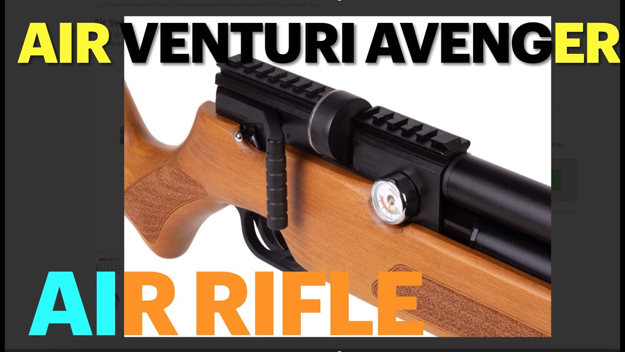 $1000 Performance for $350: Air Venturi Avenger Air Rifle - YouTube
