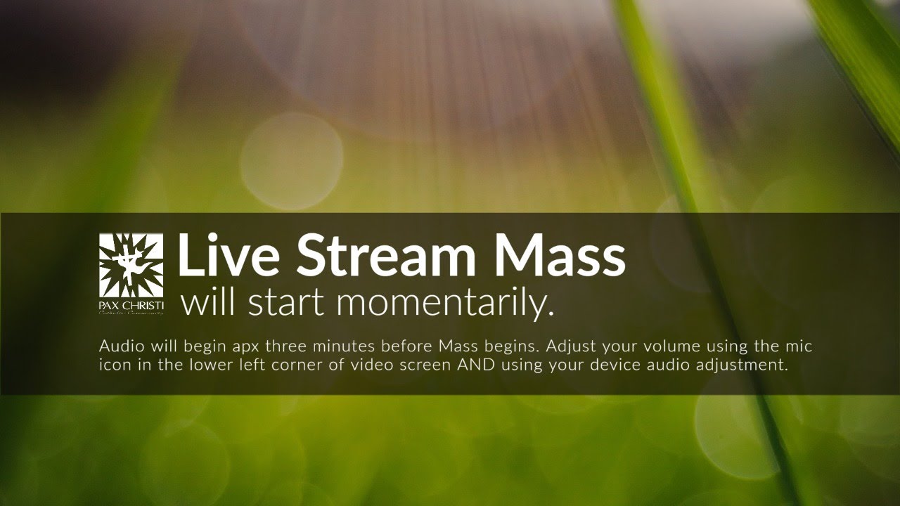 Live Stream Mass ~ July 11, 2020 - YouTube