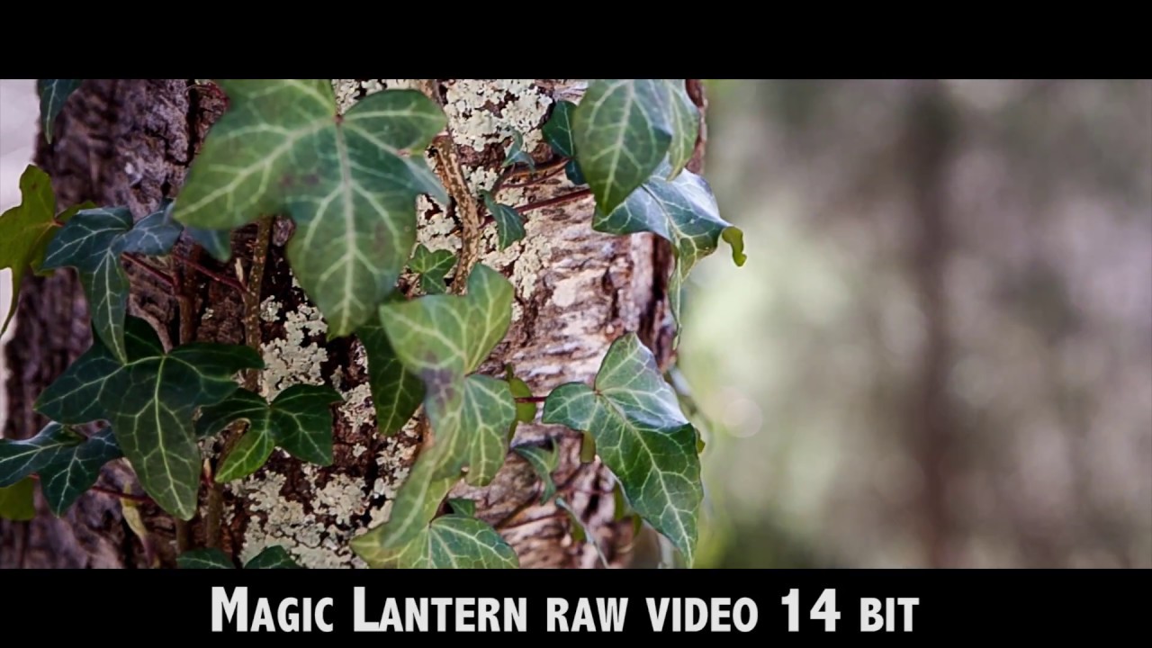 Magic Lantern Raw Video vs Canon MOV - YouTube