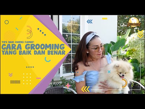 Tips #003 | Cara Grooming Yang Baik Dan Benar! - YouTube