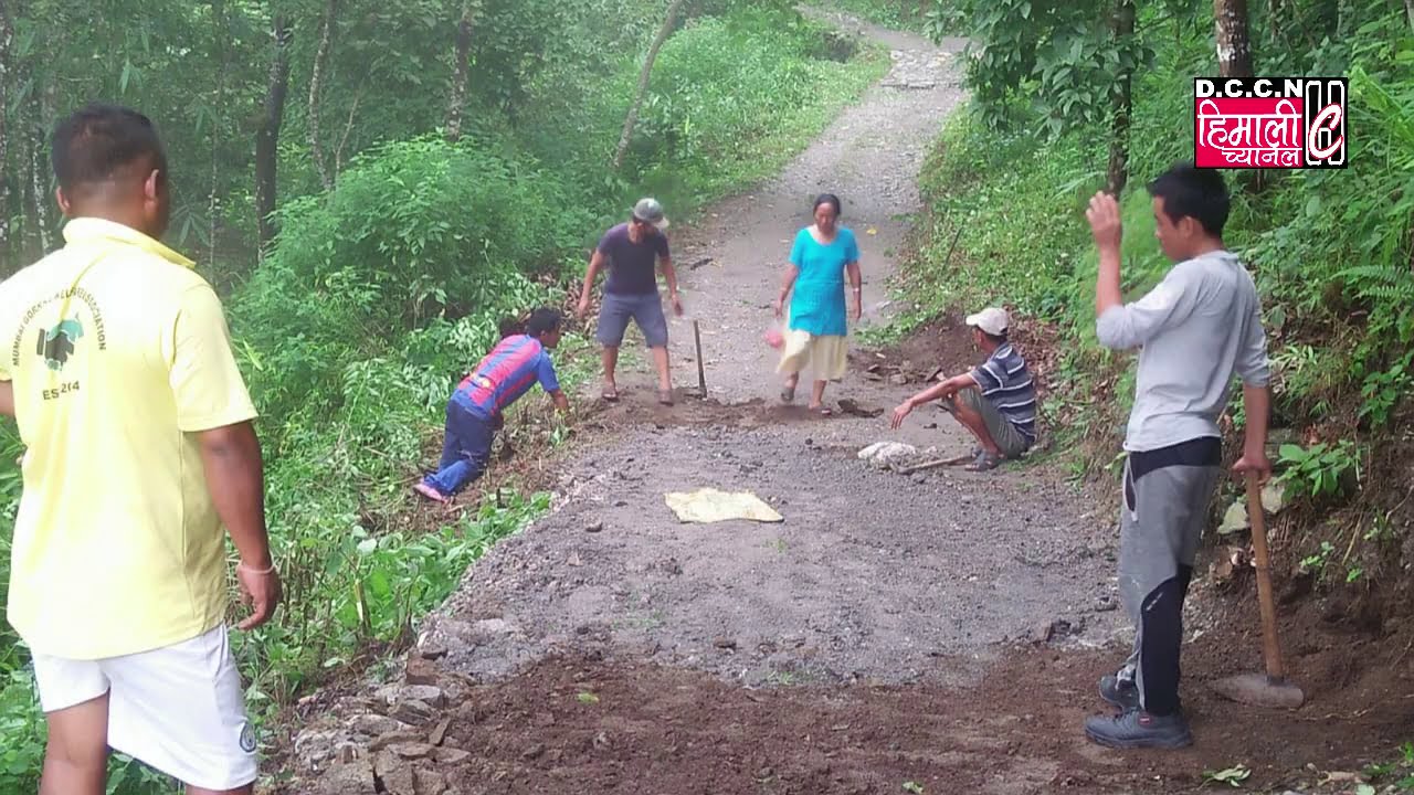 Darjeeling Himali Channel NEWS@NEHURE BALASUN TEA ESTATE - YouTube