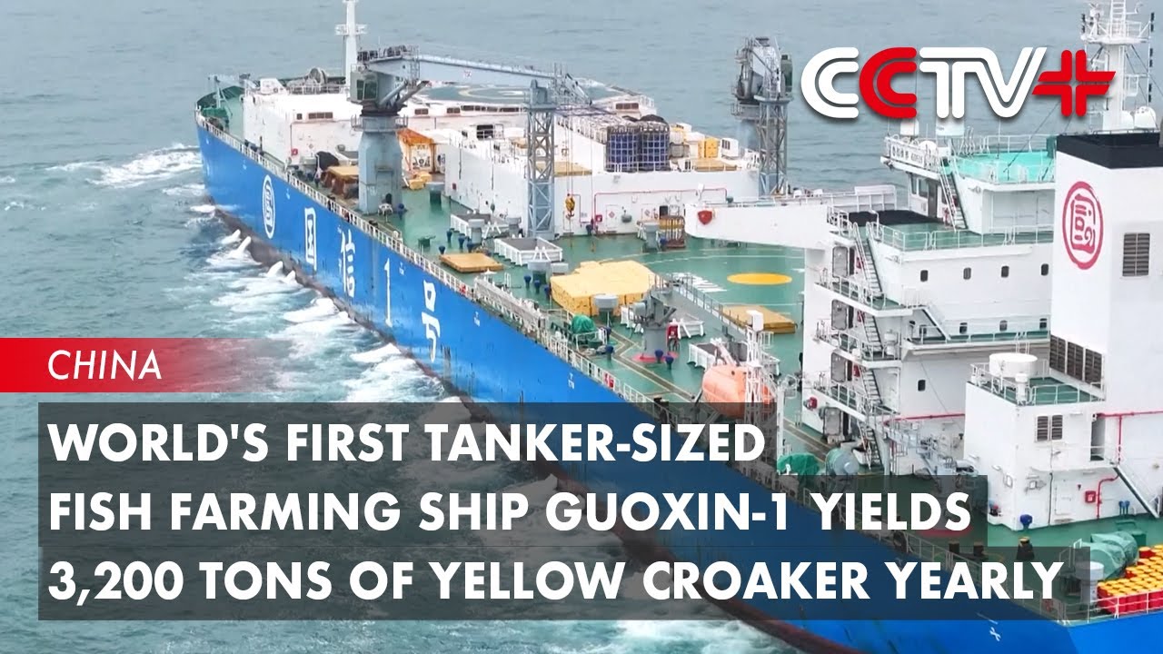 World's First Tanker-Sized Fish Farming Ship Guoxin-1 Yields 3,200 Tons of Yellow Croaker Yearly ...