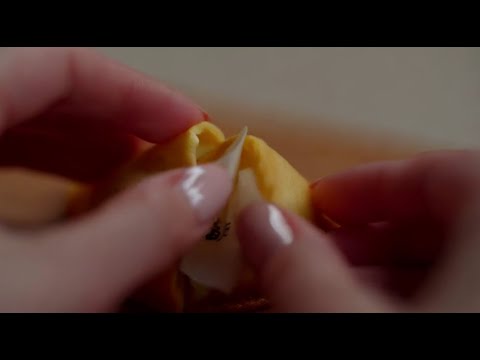An exciting business idea – negative fortune cookies! - YouTube