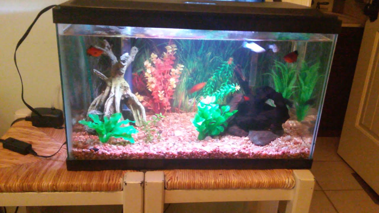 How to split an aquarium airline 2 ways - YouTube