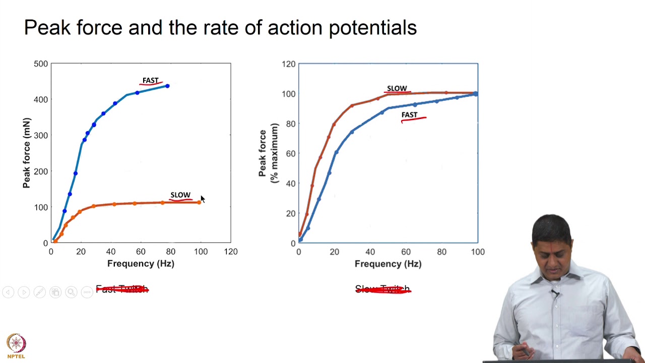 Motor Units Part - 1 - YouTube