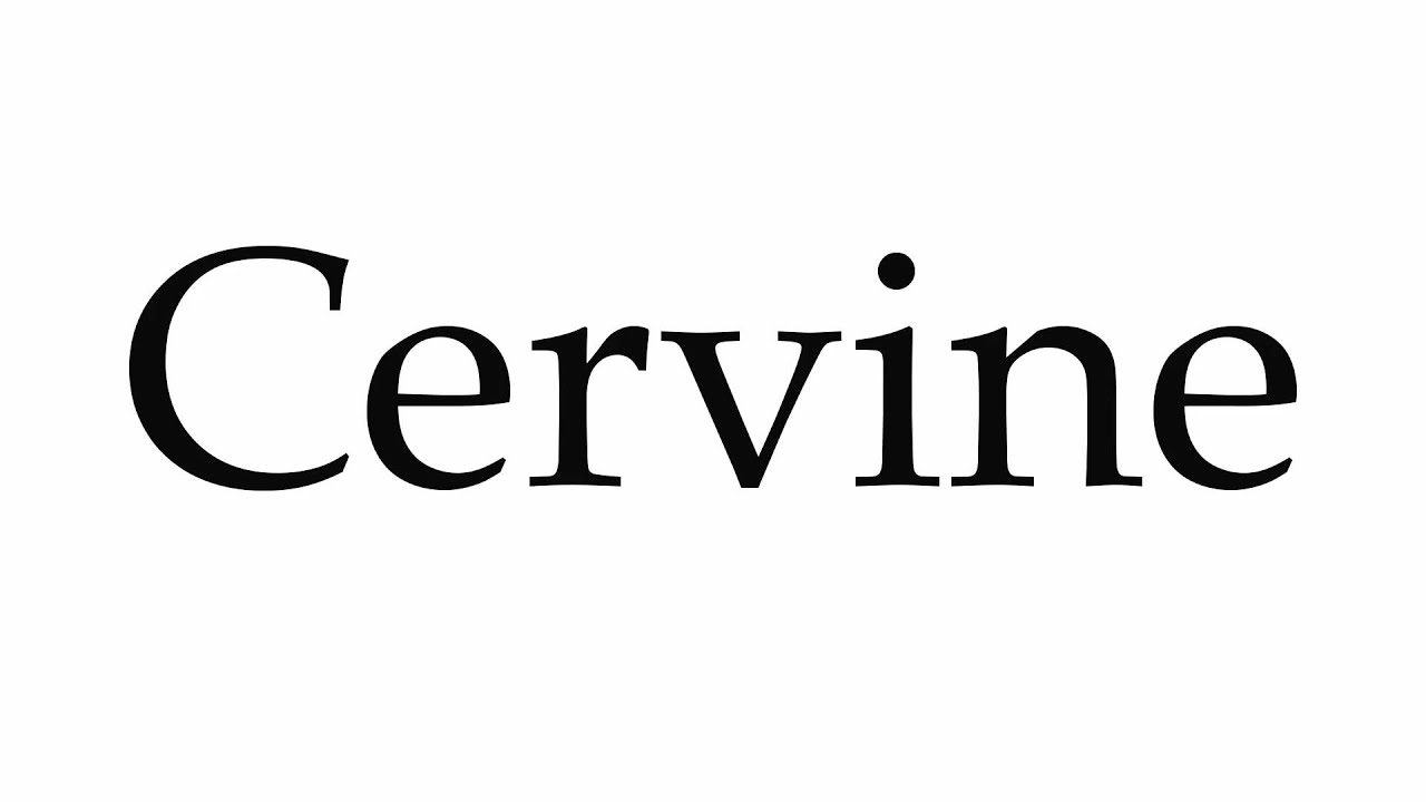 How to Pronounce Cervine - YouTube