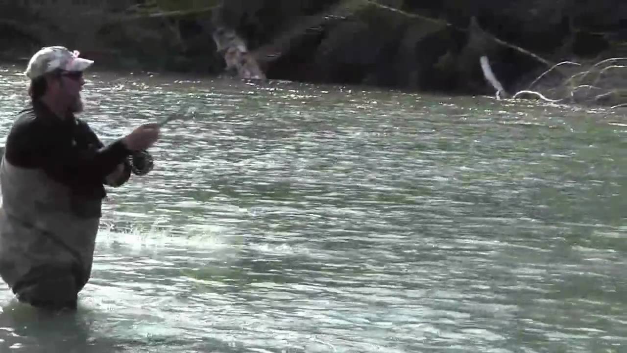 Fly Fishing Washington: Winter Run Steelhead - YouTube
