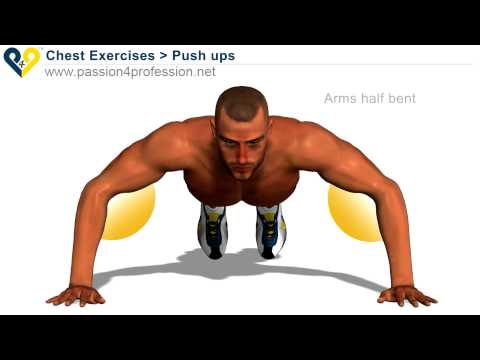 All Kinds Of Push Ups