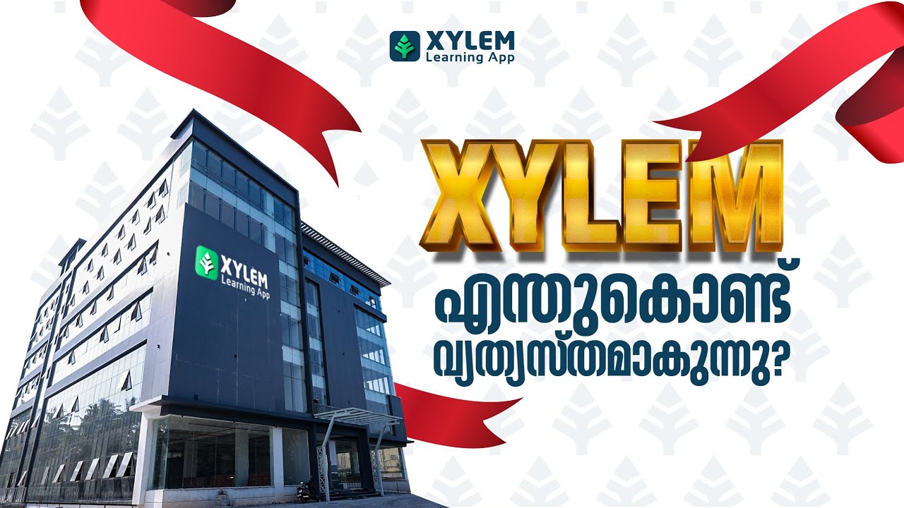 XYLEM എന്തുകൊണ്ട് വ്യത്യസ്തമാകുന്നു? - YouTube